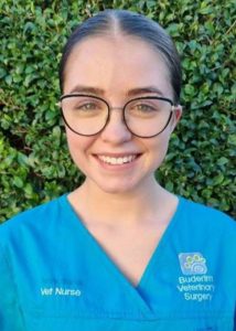 Ellie - Buderim Veterinary Surgery